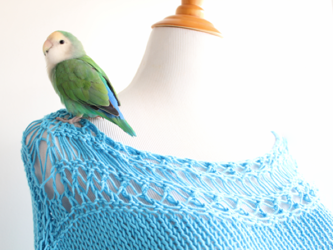 Satawal is a cropped tee with a simple lace pattern around a boat neck ...